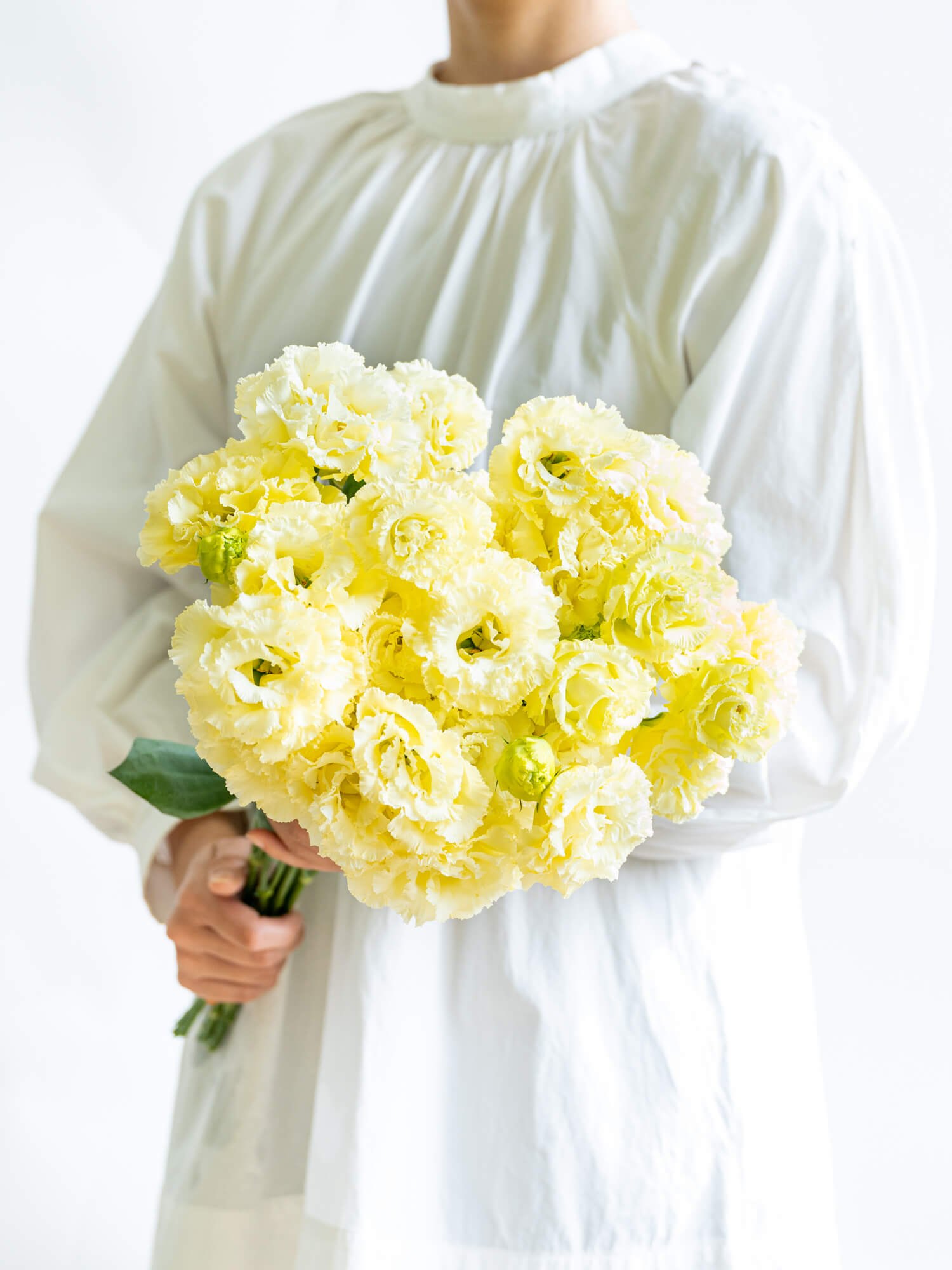 トルコキキョウ （黄） おまかせ品種｜ハナイチ｜花と植物、資材の仕入れサイト